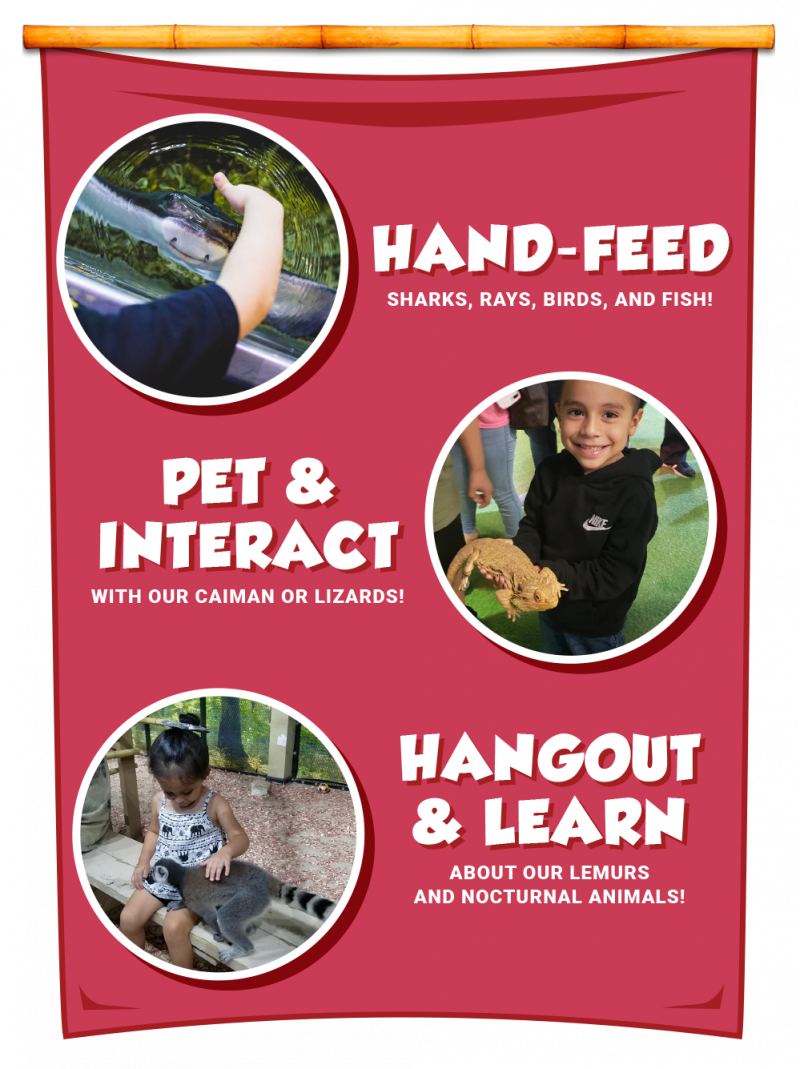 About Us | Houston Interactive Aquarium & Animal Preserve - Houston, TX