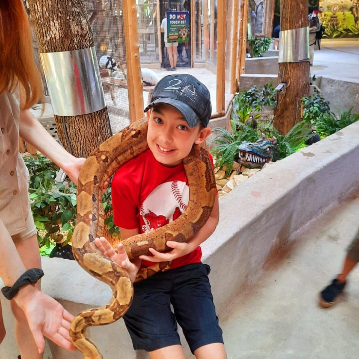 Animal Encounters | Houston Interactive Aquarium & Animal Preserve